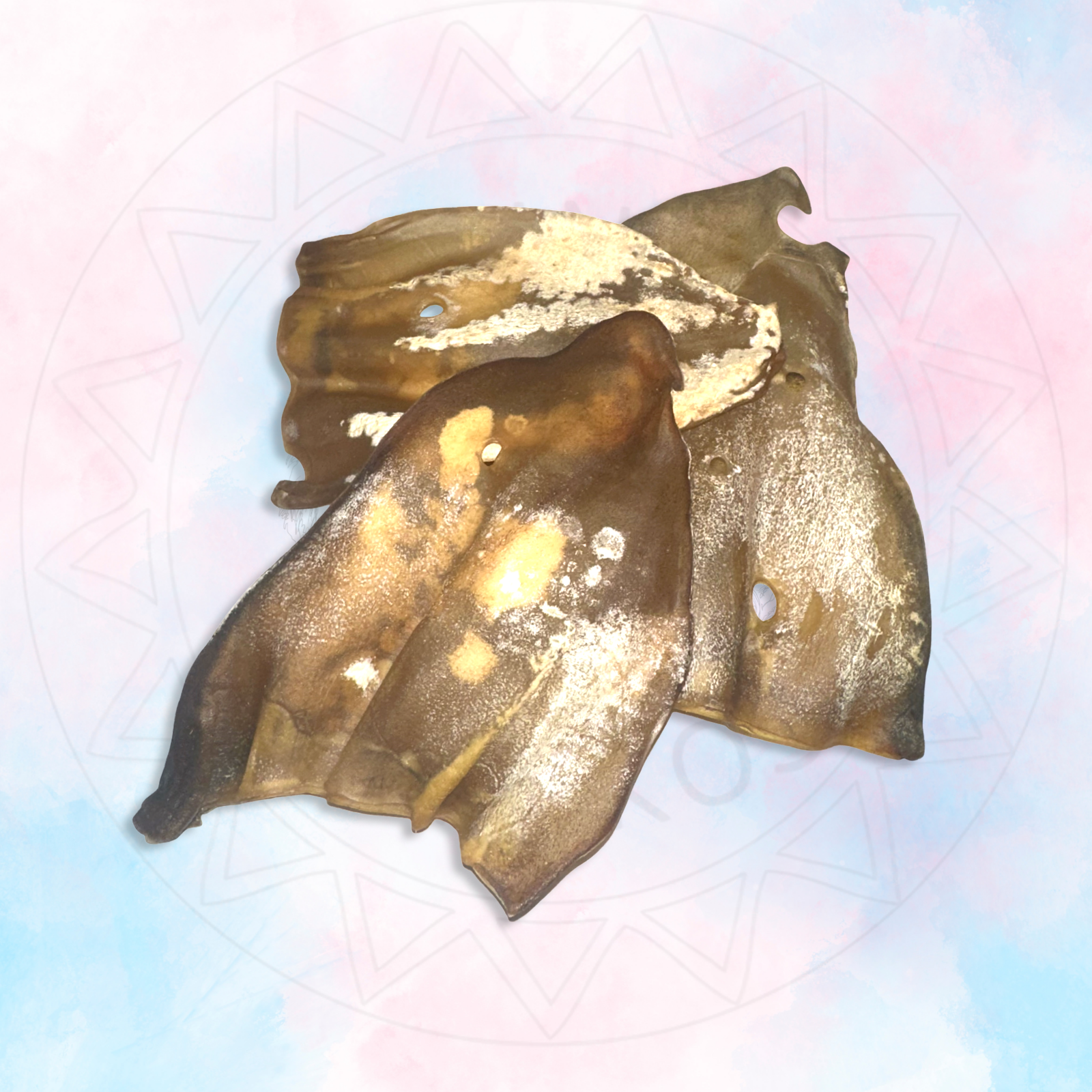 Beef Ears – Sunnies Snackos!