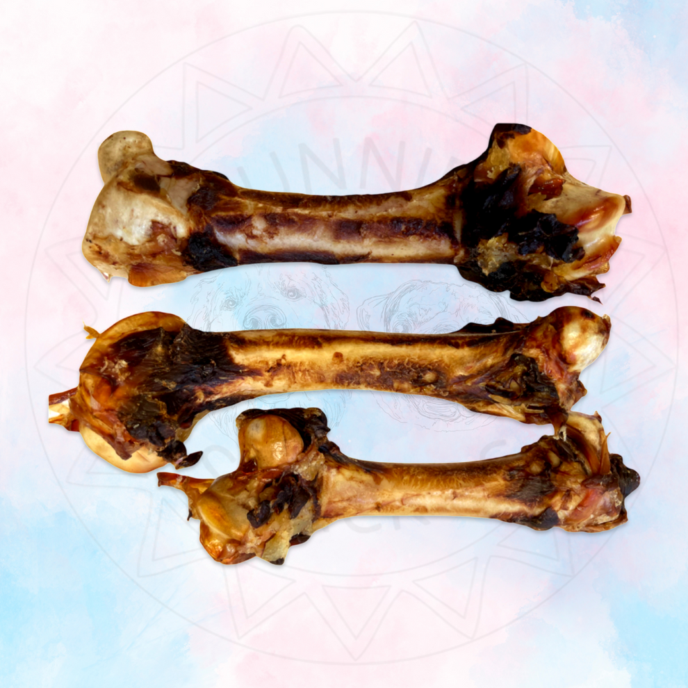 Emu Femur ~ Pre Order – Sunnies Snackos!