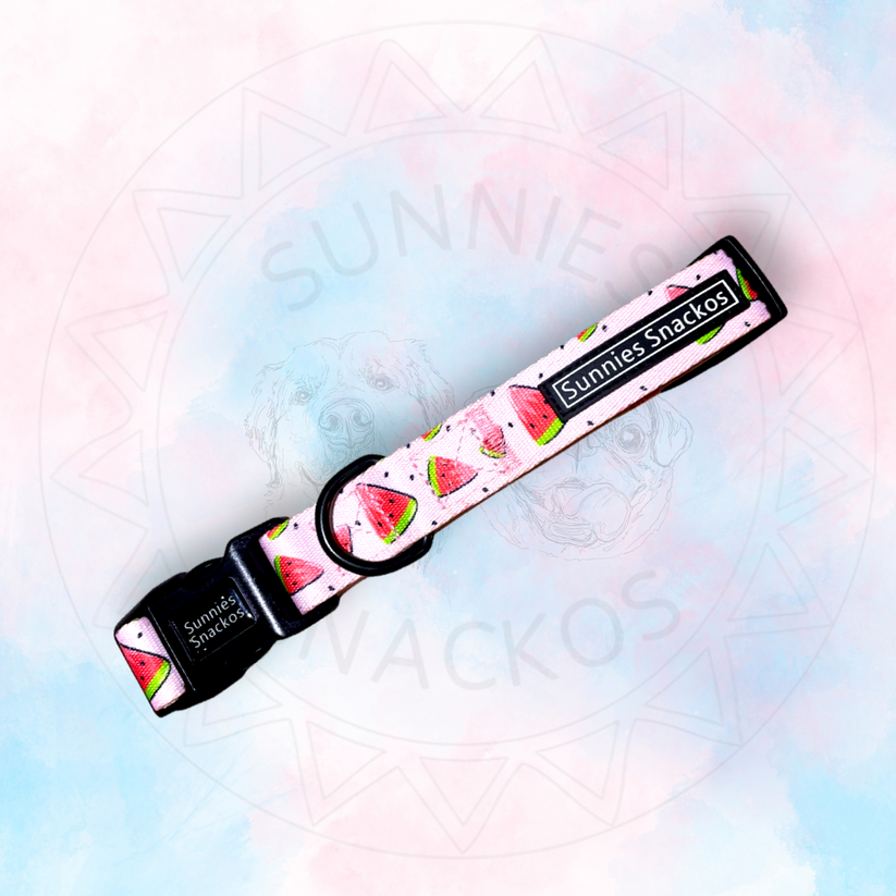 Melonie Collar – Sunnies Snackos!